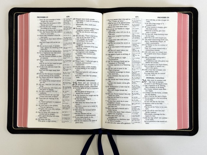 Bibles Direct - Allan New American Standard Bible Readers Edition Black ...