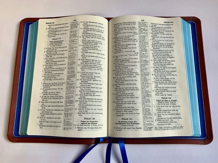 Bibles Direct - Allan New American Standard Bible Readers Edition Red ...