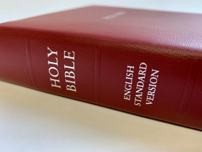 Bibles Direct - Allan ESV New Classic Readers Edition Z Red Meriva ...
