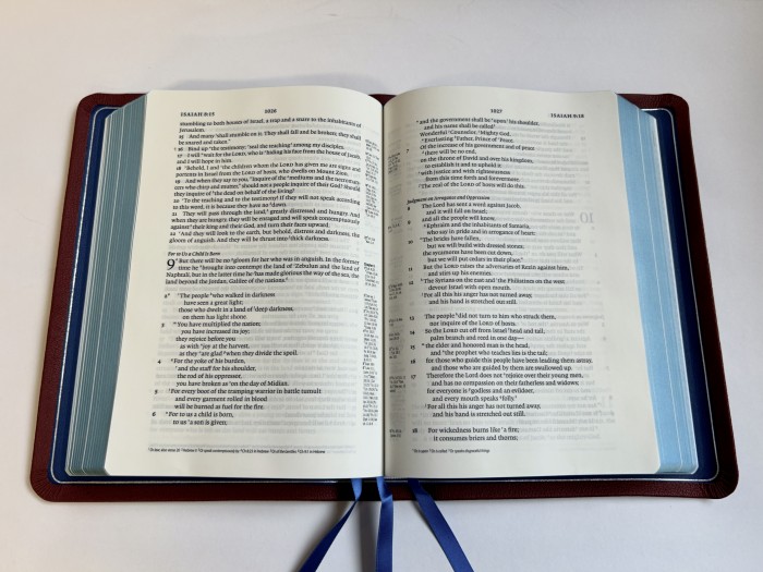 Bibles Direct - Allan ESV Single Column Reference Edition Z 2024 Red ...