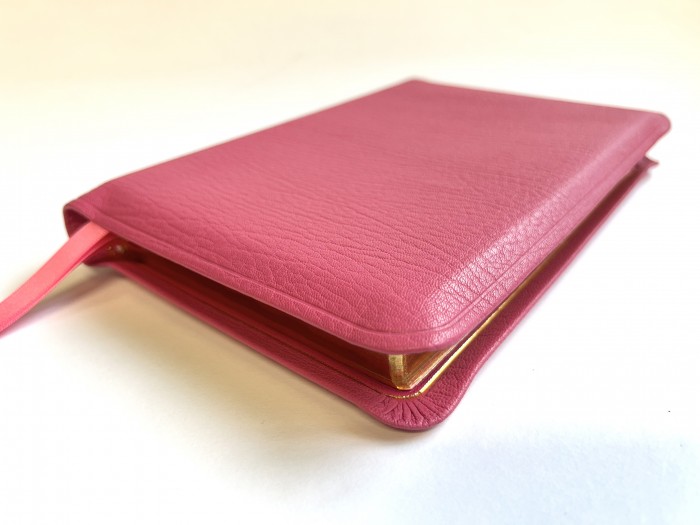 Bibles Direct - Allan New International Version Classic Reference ...