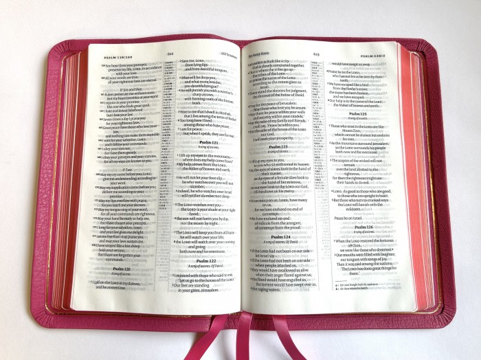 Bibles Direct - Allan New International Version Classic Reference ...