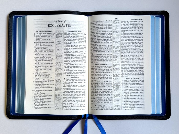 Bibles Direct - Allan New American Standard Bible Readers Edition Black ...