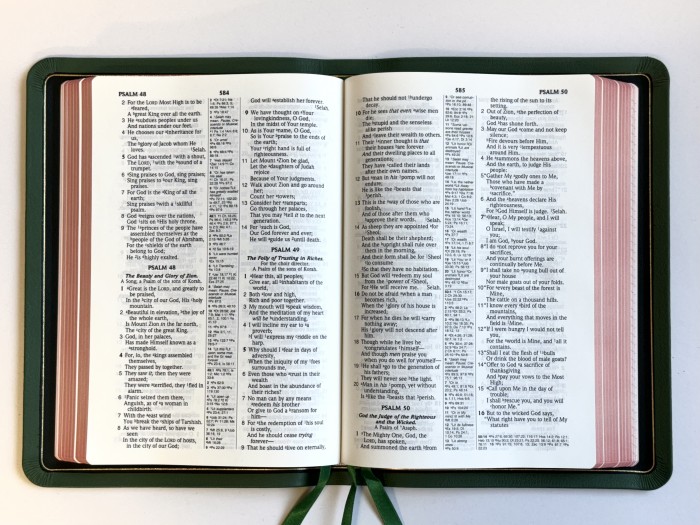 Bibles Direct - Allan New American Standard Bible Readers Edition ...