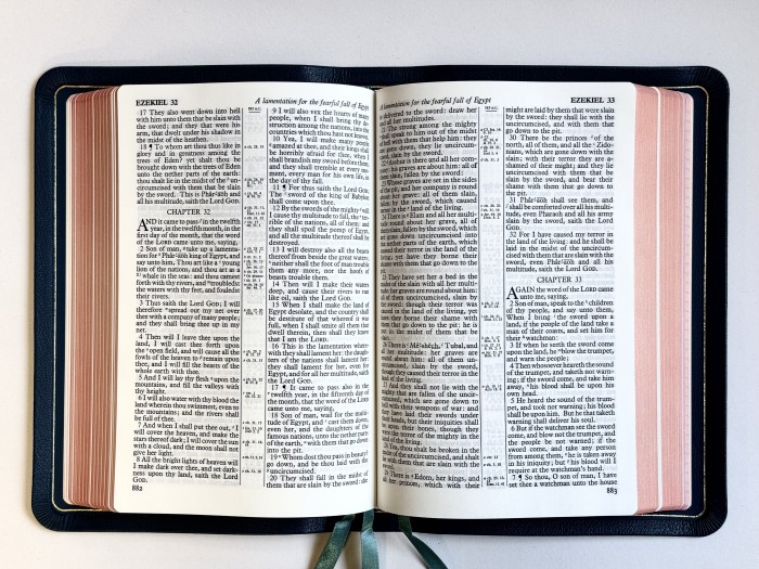 Bibles Direct - Allan 54C Longprimer Petrol Blue Goatskin with ...