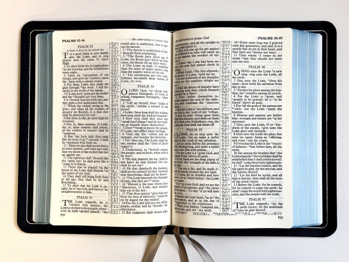 Bibles Direct - Allan 54C Longprimer Navy Blue Goatskin Silver Line ...
