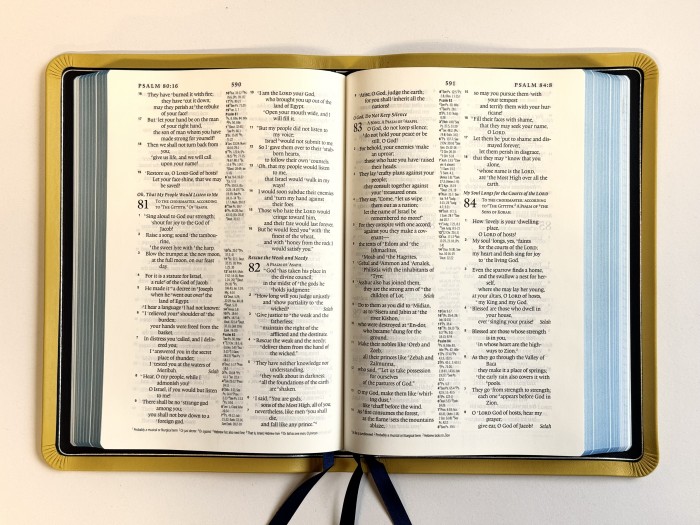 Bibles Direct - Allan ESV New Classic Readers Edition Yellow Meriva ...