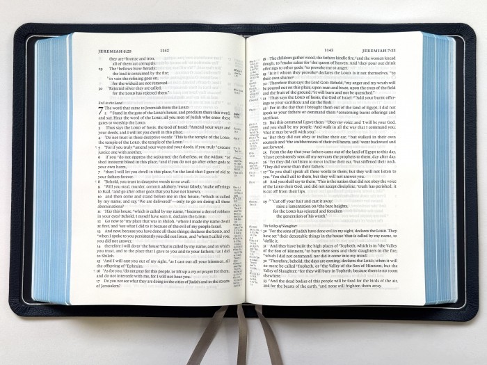 Bibles Direct - Allan ESV Single Column Reference Edition Navy Blue ...